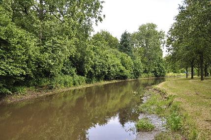 Dommel - De historische en eigentijdse encyclopedie van Eindhoven